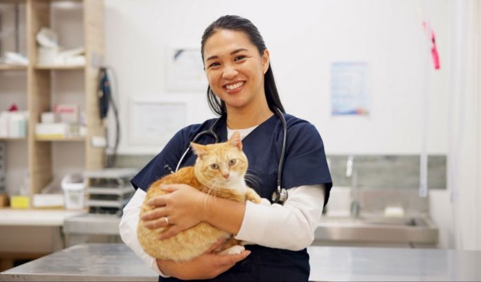 Why Veterinary Practices Are Turning to Smarter Digital Tools